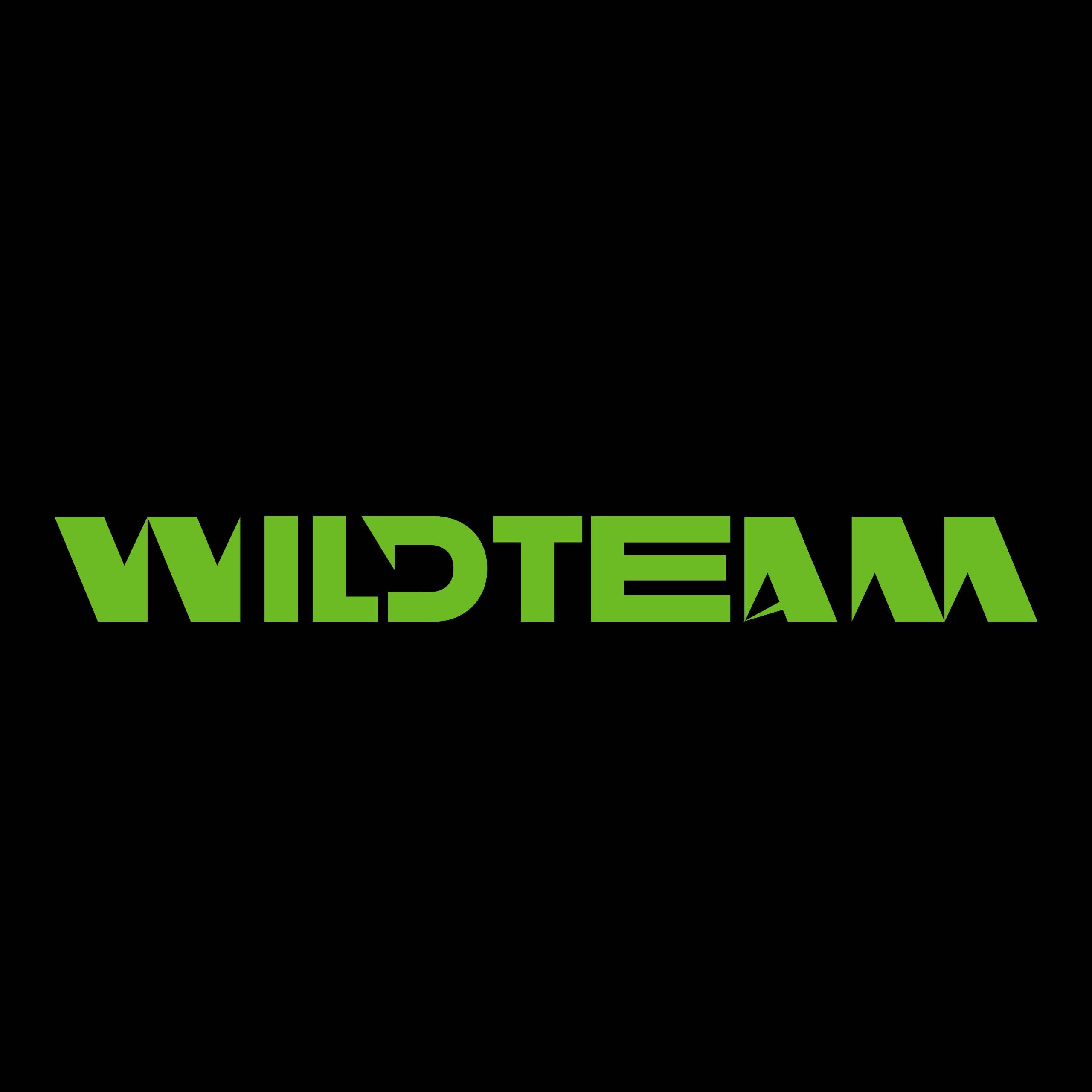 Иконка канала WildTeam