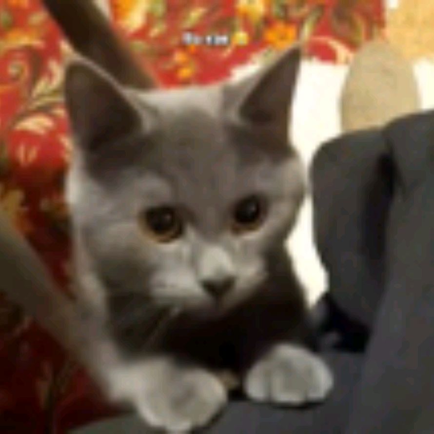 Иконка канала Всё просто