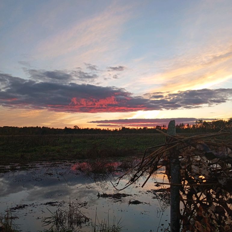 Иконка канала Звериными тропами