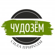 Иконка канала Чудозём