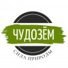 Иконка канала Чудозём