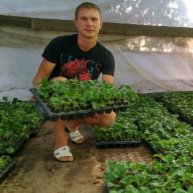 Иконка канала Ягода и саженцы Дона