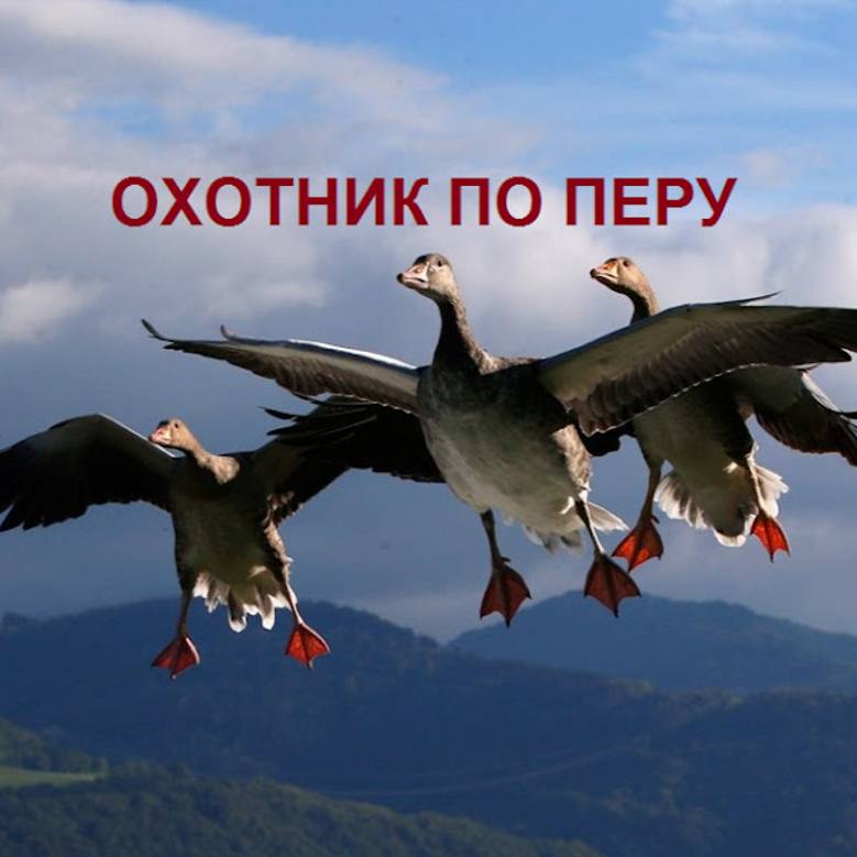 Иконка канала Охотник По Перу