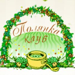 Иконка канала poliankaclub.ru