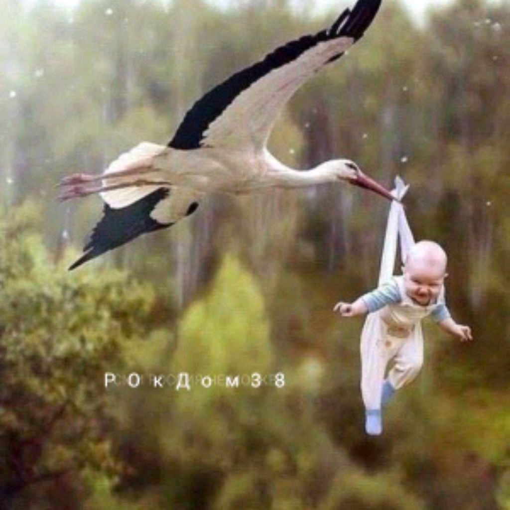 Иконка канала РОКДОМ38