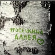 Иконка канала Фросечка Лёвина