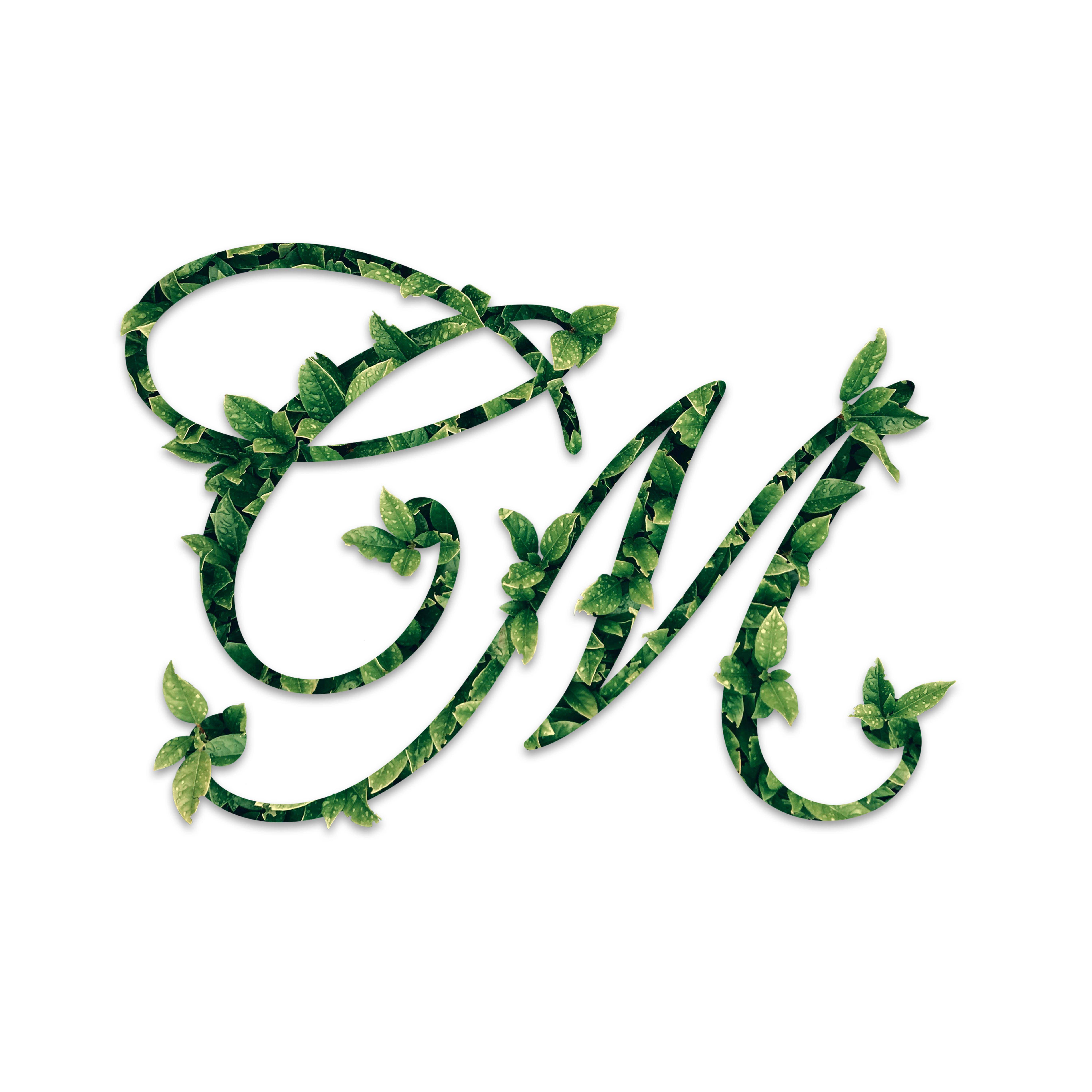 Иконка канала Садовый Эксперт ~ Денис Сафронов