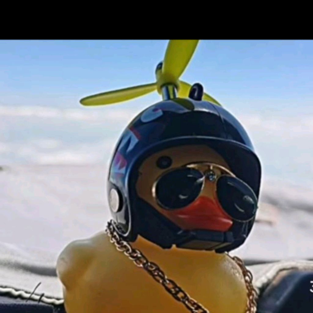 Иконка канала ~timon