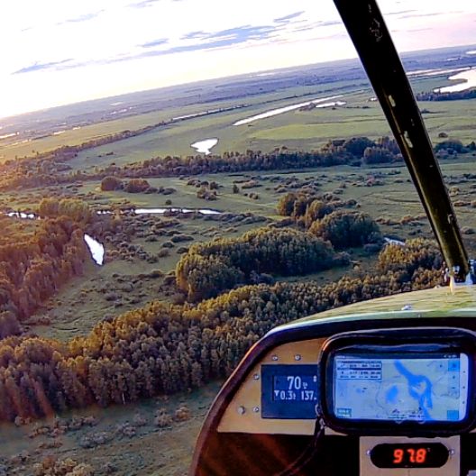 Иконка канала MaximDelta