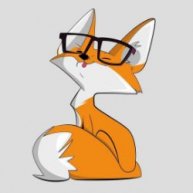 Иконка канала Лисья школа | МБОУ СОШ 11 г.Биробиджана