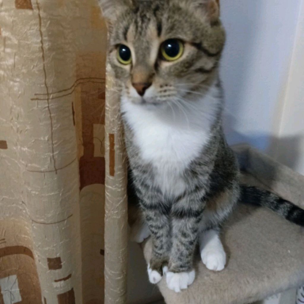 Иконка канала Крекер 1250