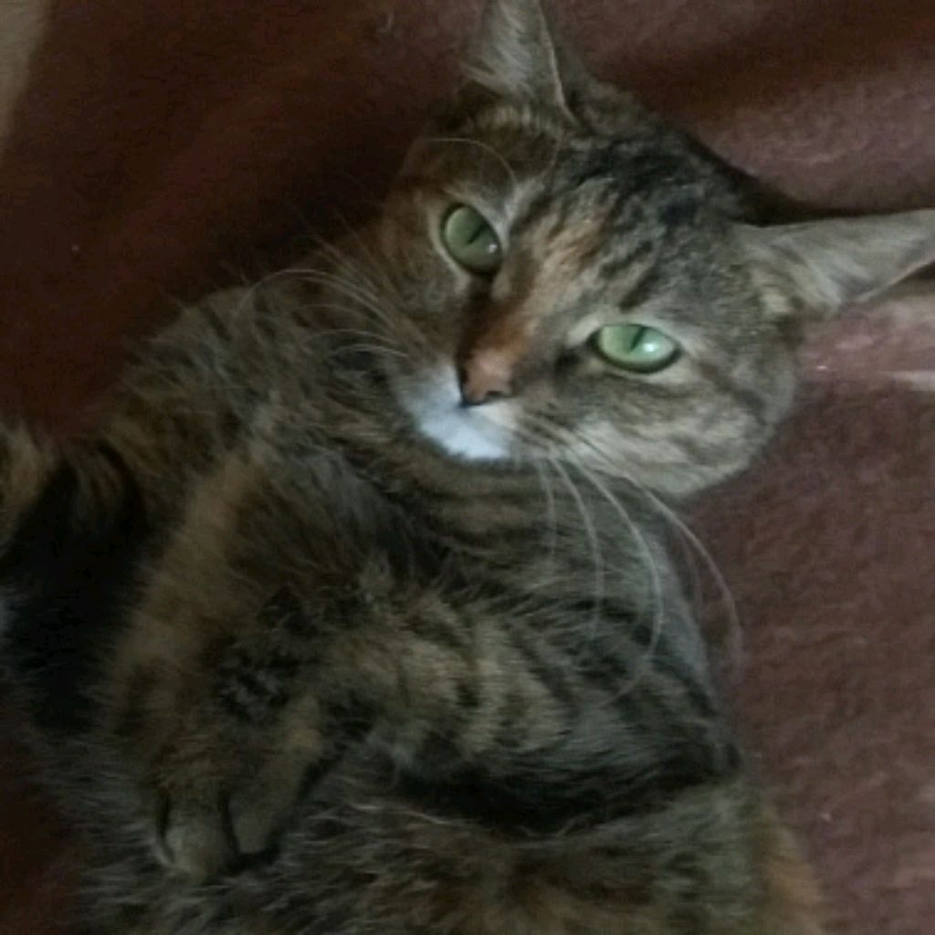 Иконка канала НикитаНикитосRu