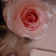 Иконка канала Настенька💔они