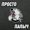 Иконка канала Просто Палыч