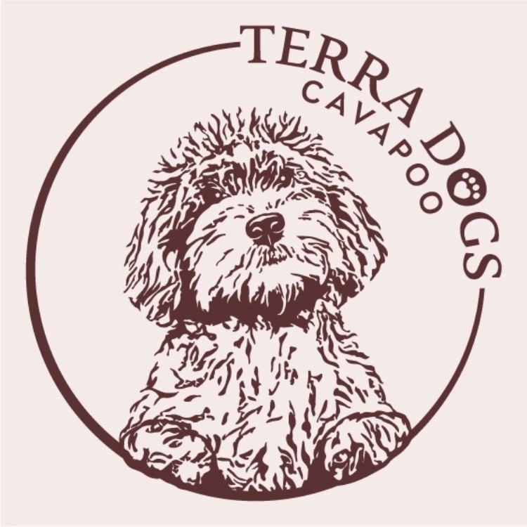 Иконка канала Terra Dogs