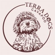 Иконка канала Terra Dogs