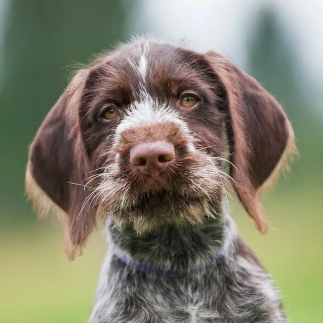 Иконка канала Вагин Сергей.