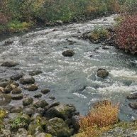 Иконка канала Не сиди дома