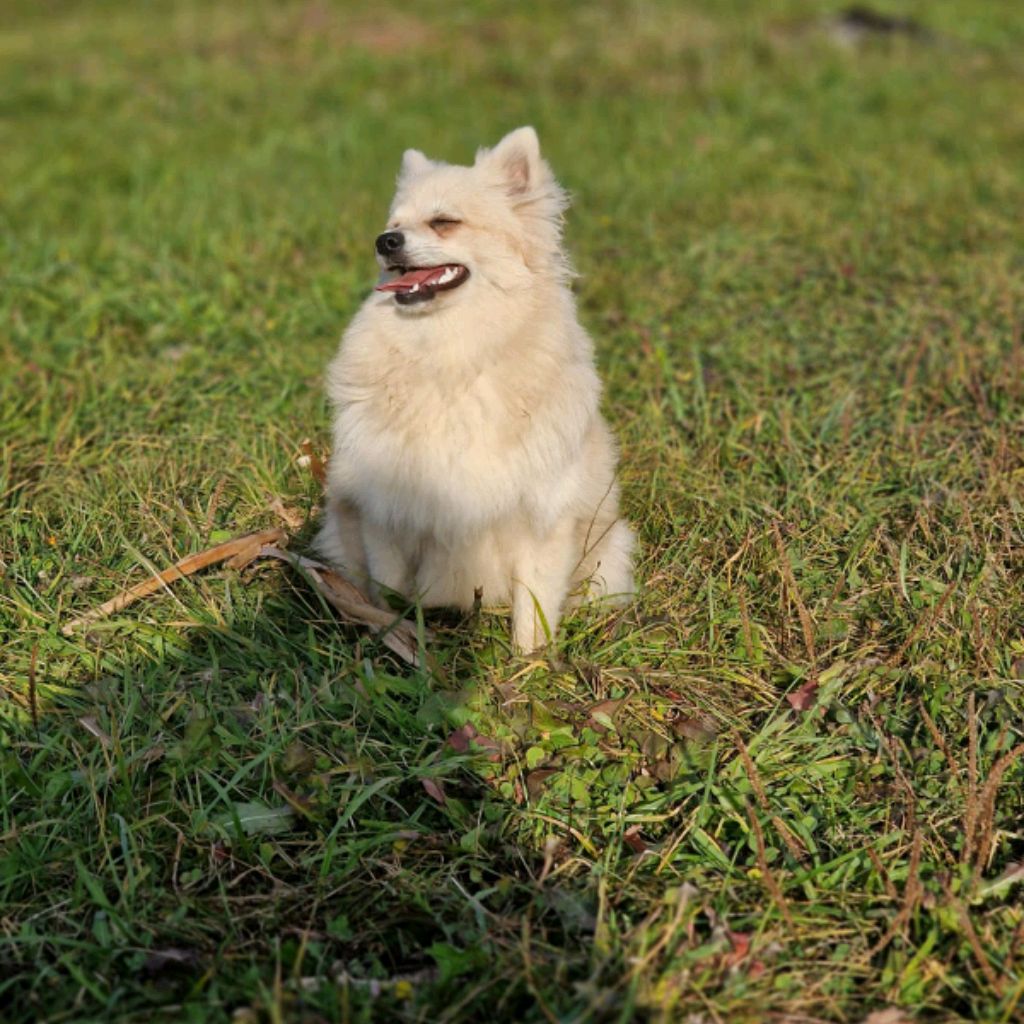 Иконка канала Готовим быстро “