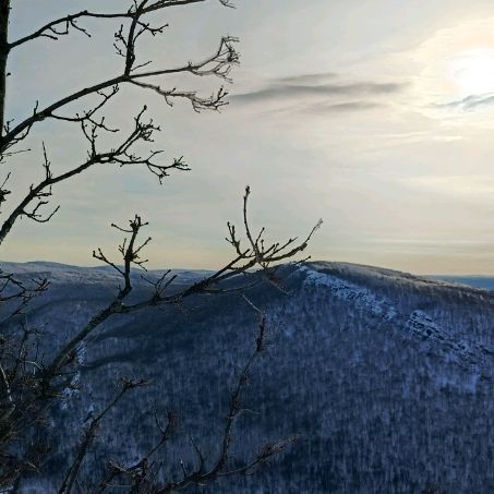 Иконка канала N&Lнаиль