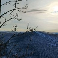 Иконка канала N&Lнаиль