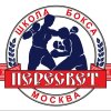 Иконка канала Школа Бокса Пересвет