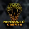 Иконка канала Волейбольный клуб ЯГМУ