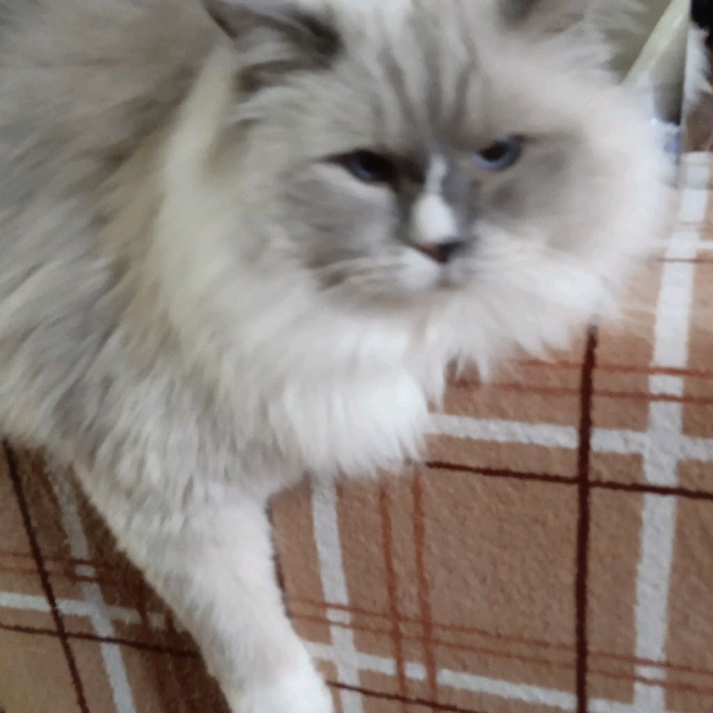 Иконка канала Irina iriz