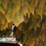 Иконка канала Перекур