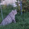Иконка канала Василий К