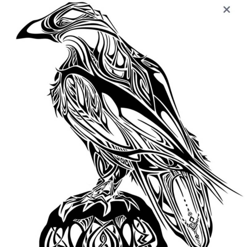 Иконка канала Белая Ворона