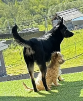 Иконка канала Реалити Дневник