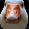 Иконка канала KRUASAN1IK