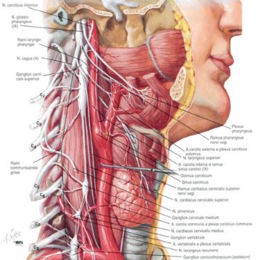 Иконка канала Njlpyk