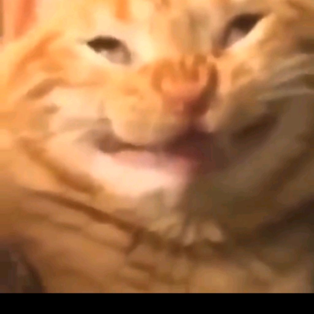 Иконка канала Domart