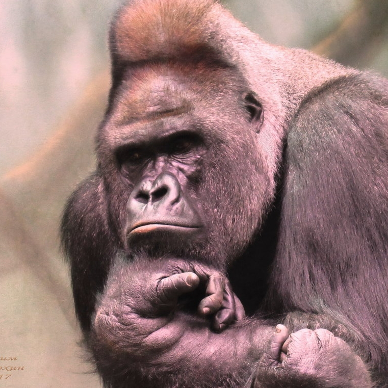 Иконка канала RuslanDarbazinski