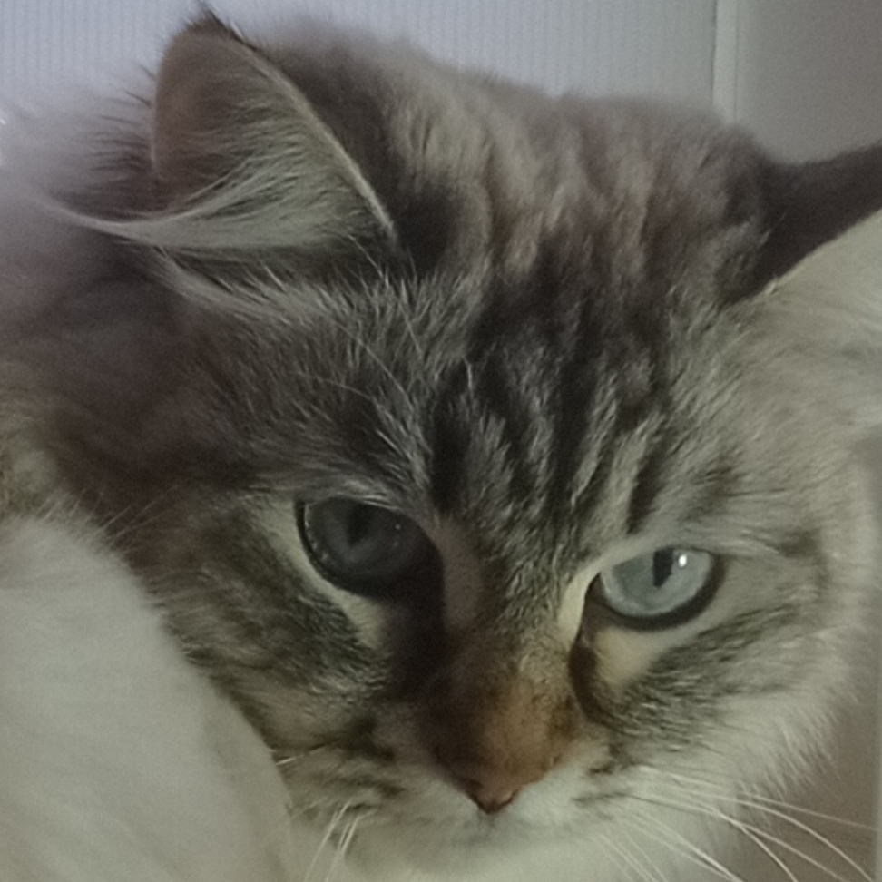 Иконка канала channel46012217