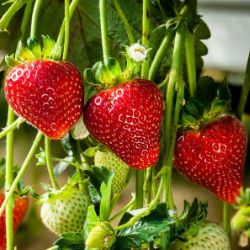 Иконка канала channel53236154