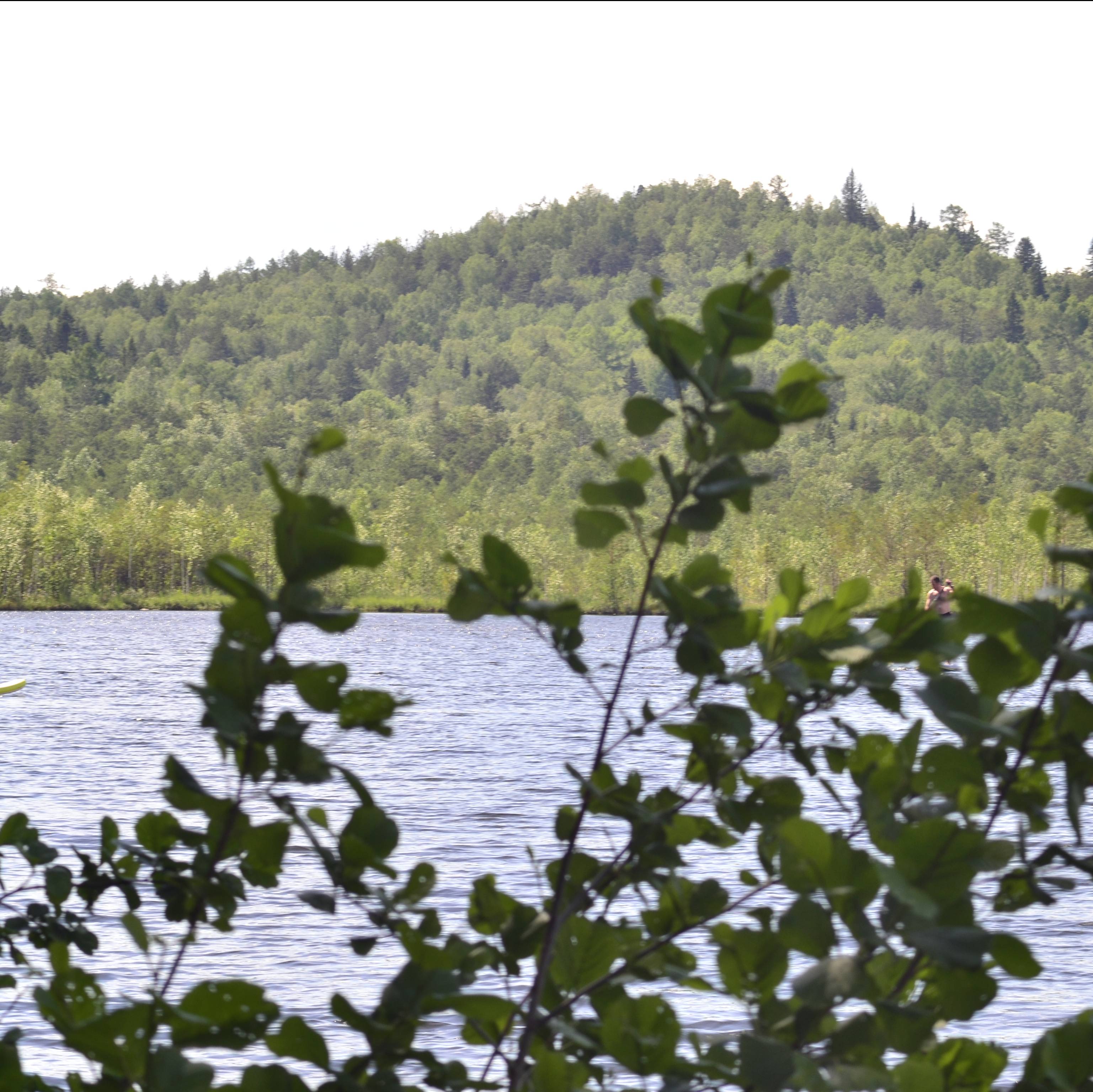 Иконка канала Артем Коньков