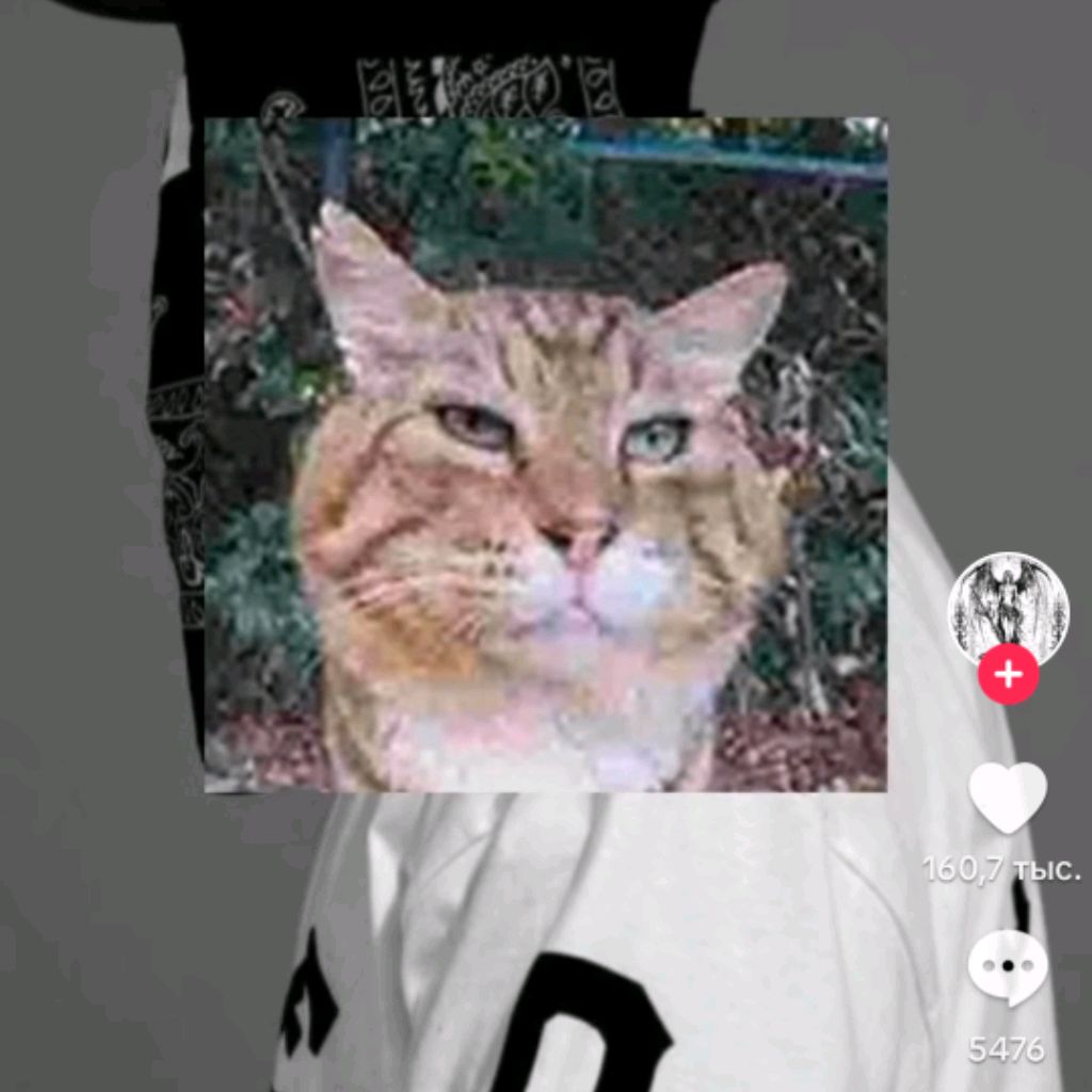 Иконка канала Абосрышакакашкинтупапридерокаговнамоча238