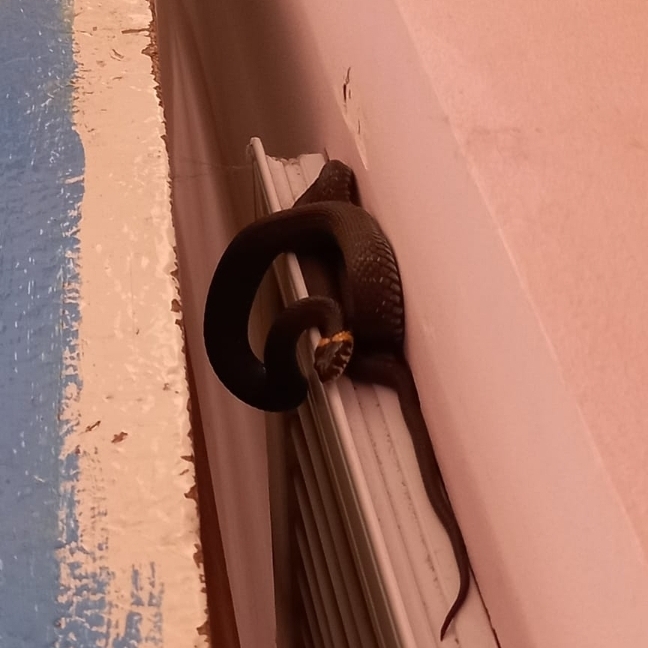 Иконка канала channel51793988