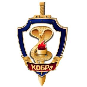 Иконка канала Комитет безопасности России