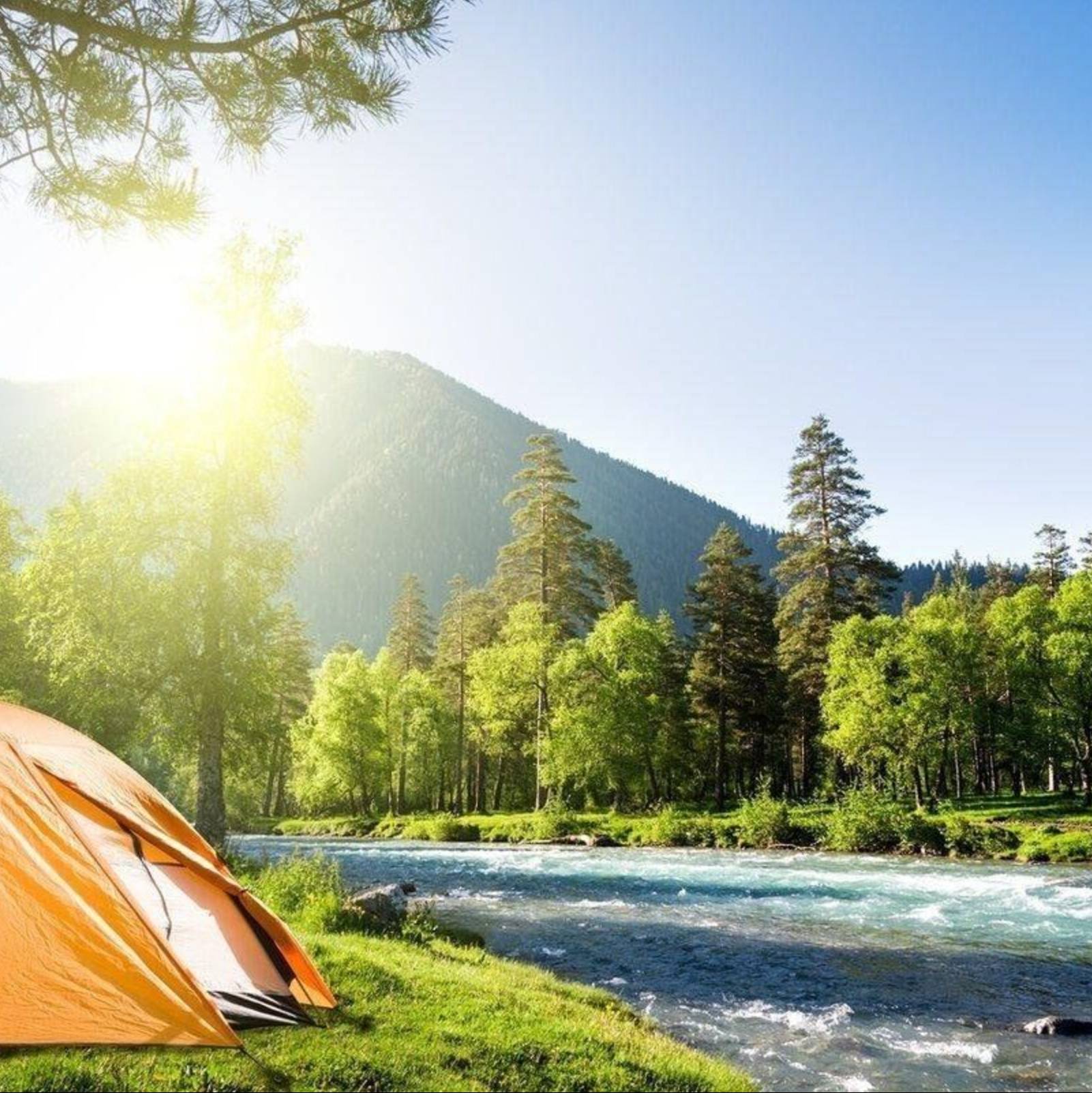 Иконка канала vip-dikari