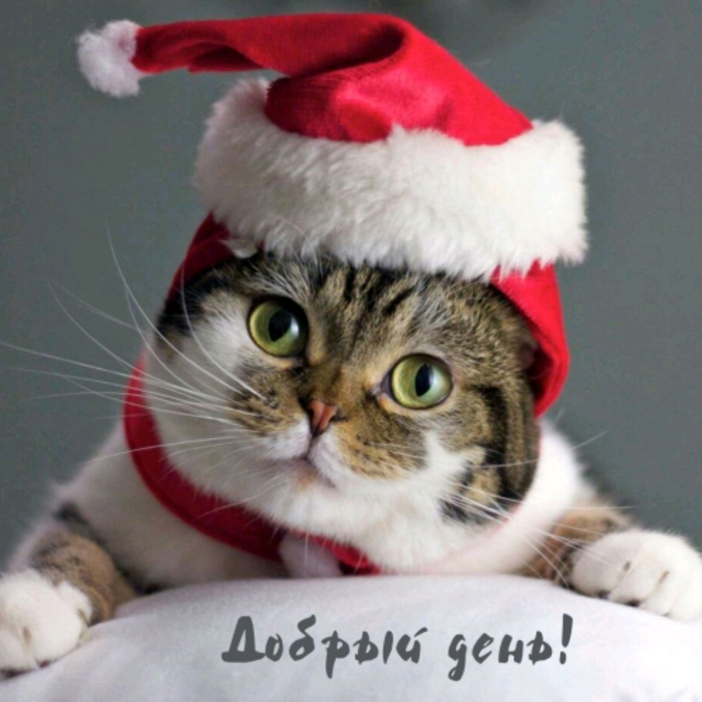 Иконка канала channel53652154