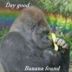 Иконка канала PyskaNaAve