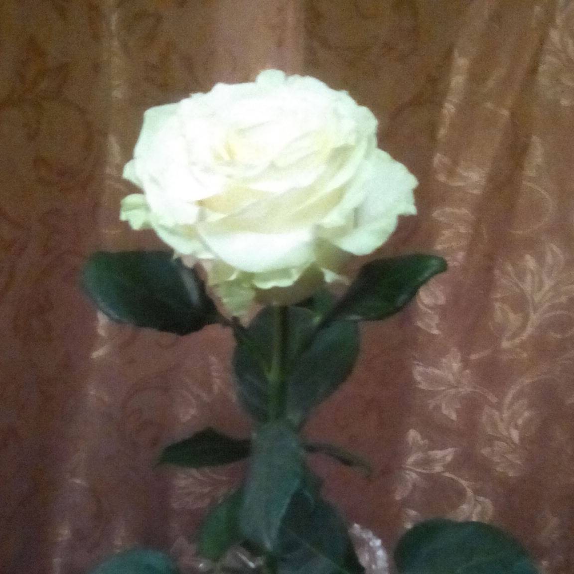 Иконка канала Просто Ольга