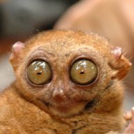 Иконка канала ИгроФильмы