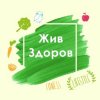 Иконка канала Жив Здоров