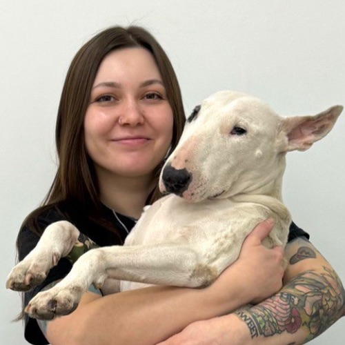 Иконка канала Neuro Kate