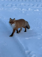 Иконка канала Мотивация